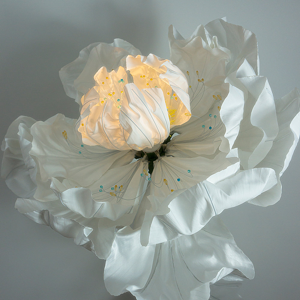 Automatic Blooming Stunning White Camellia Flower 02 – SweetDatesPrints